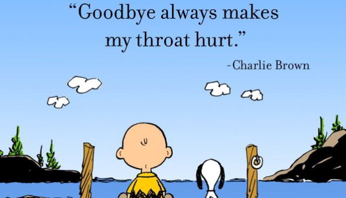 60 Goodbye quotes and farewell sayings 2022 - Quotes Yard