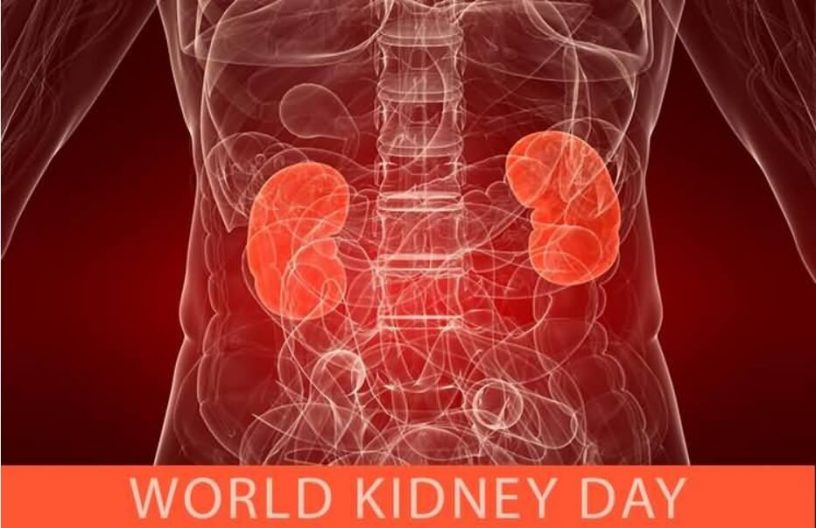 50 Best World kidney Day Quotes With Images 2022 - Quotes Yard