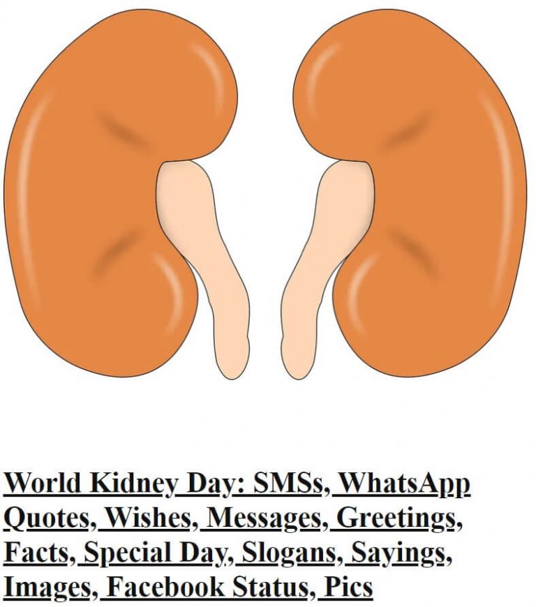 50 Best World kidney Day Quotes With Images 2022 - Quotes Yard